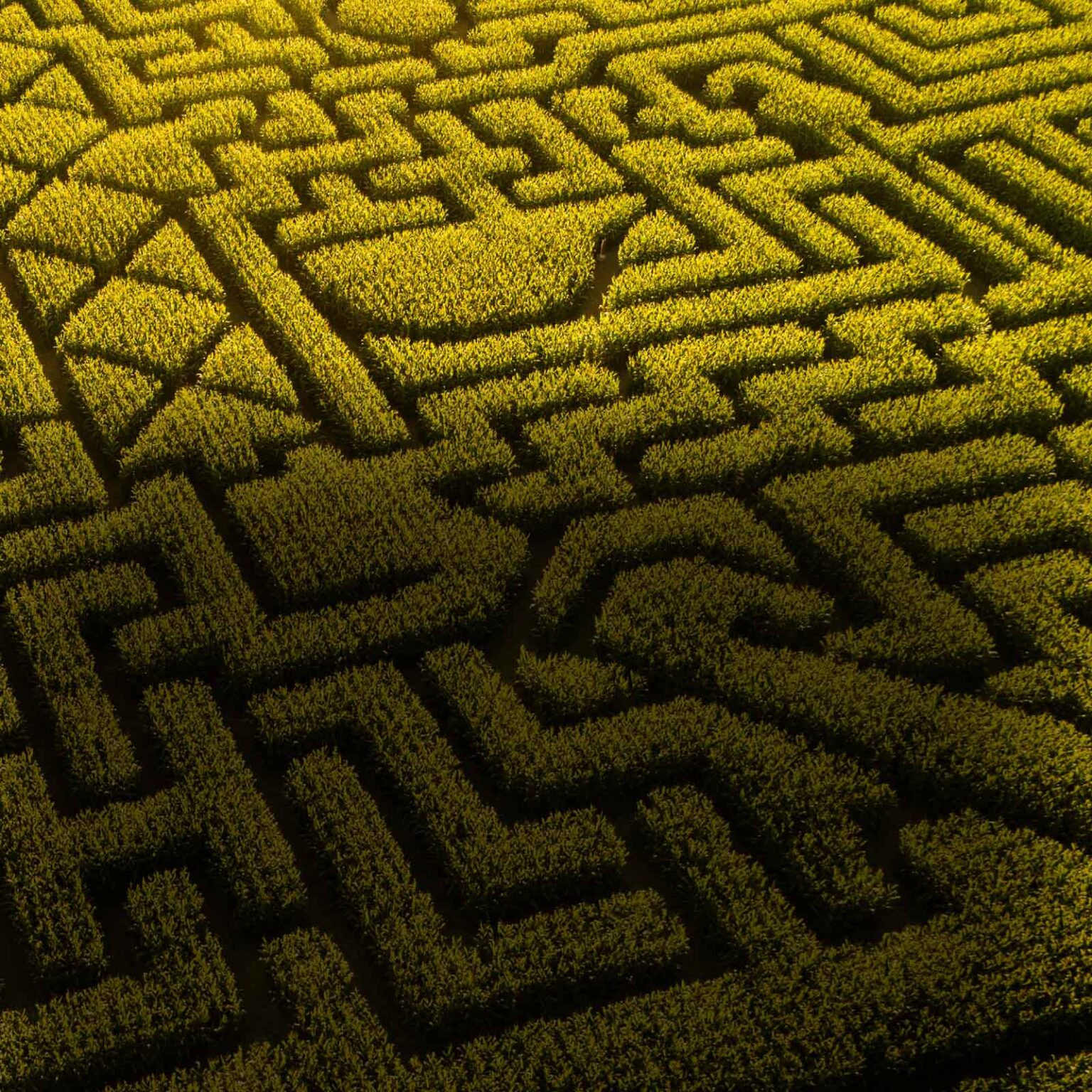 Phillips Group | Communications, Digital and Creative | Brisbane PR